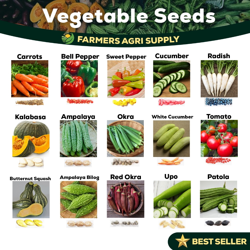Vegetable Seeds - Kalabasa Okra Ampalaya Sitao Bell Pepper Carrots ...
