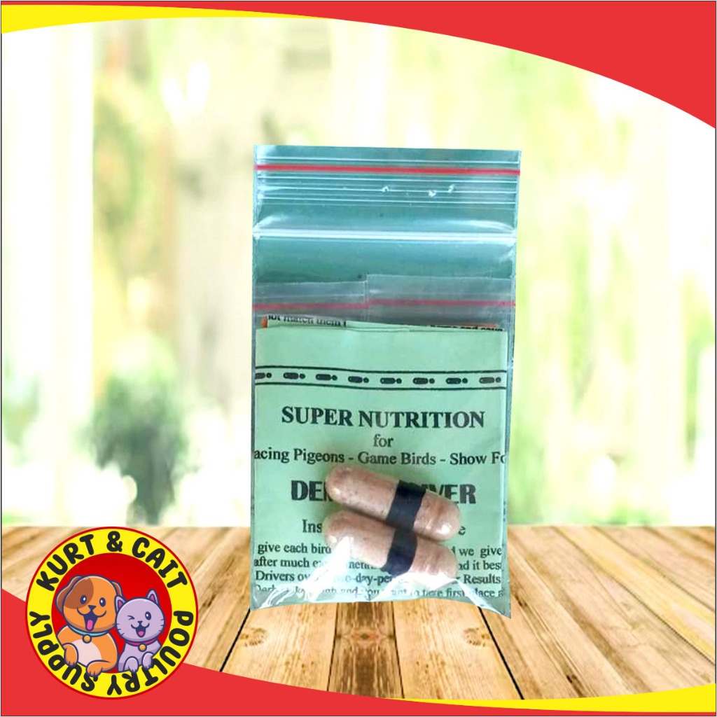Demon Drivers Show Birds, Game Fowl, Racing Pigeon Sold per PACK (2 ...