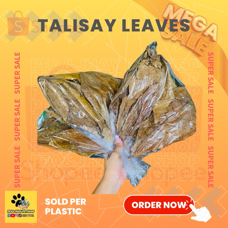 Talisay Leaves | Pea&jhay petshop | Shopee Philippines