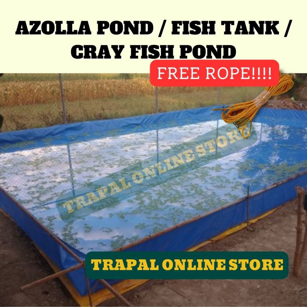 5ft x 10ft x 3ft TRAPAL LONA AZOLLA POND | Shopee Philippines