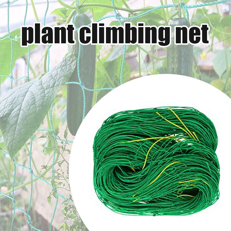 Garden Plant Climbing Net Nylon Support Mesh Support Fruits Vegetables ...