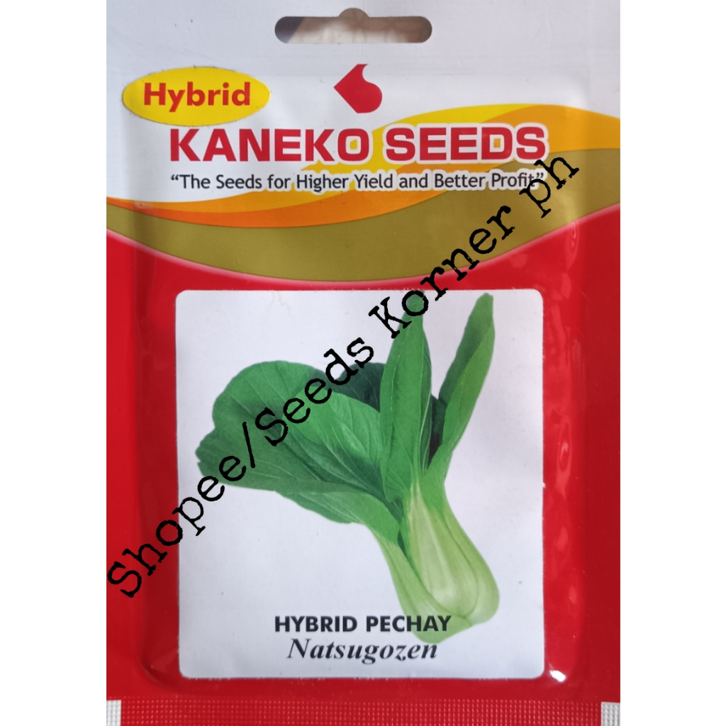 Kaneko Seeds Hybrid Pechay Natsugozen (Red Packaging) | Shopee Philippines