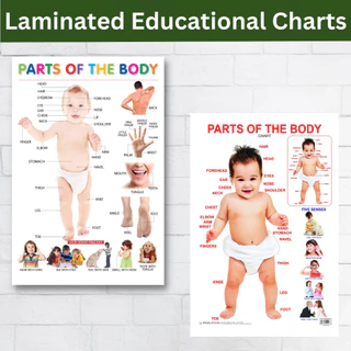 Shop parts of the body kids for Sale on Shopee Philippines