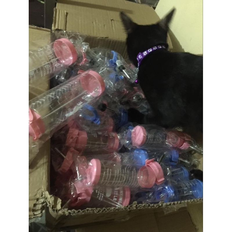 waterbottle 80mL and more try na muna | Shopee Philippines