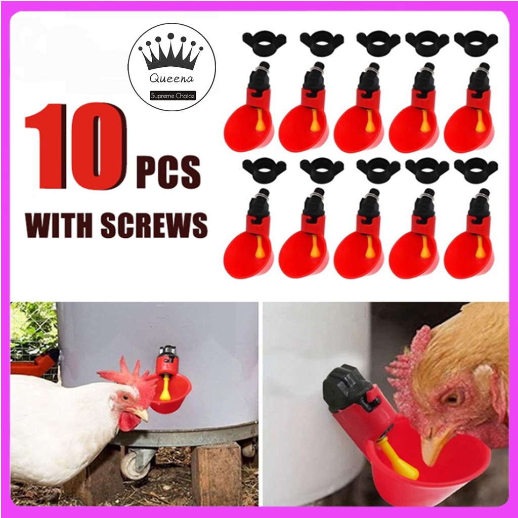 10 Pcs Automatic poultry chicken water drinker cup poultry equipment ...