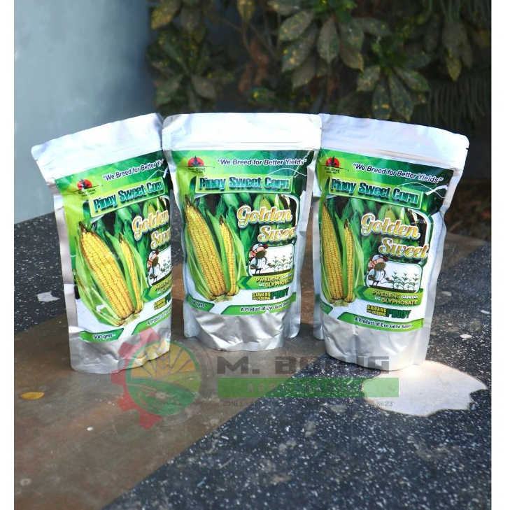 EVO GENE SEEDS: PINOY SWEET CORN (500 grams) | Shopee Philippines