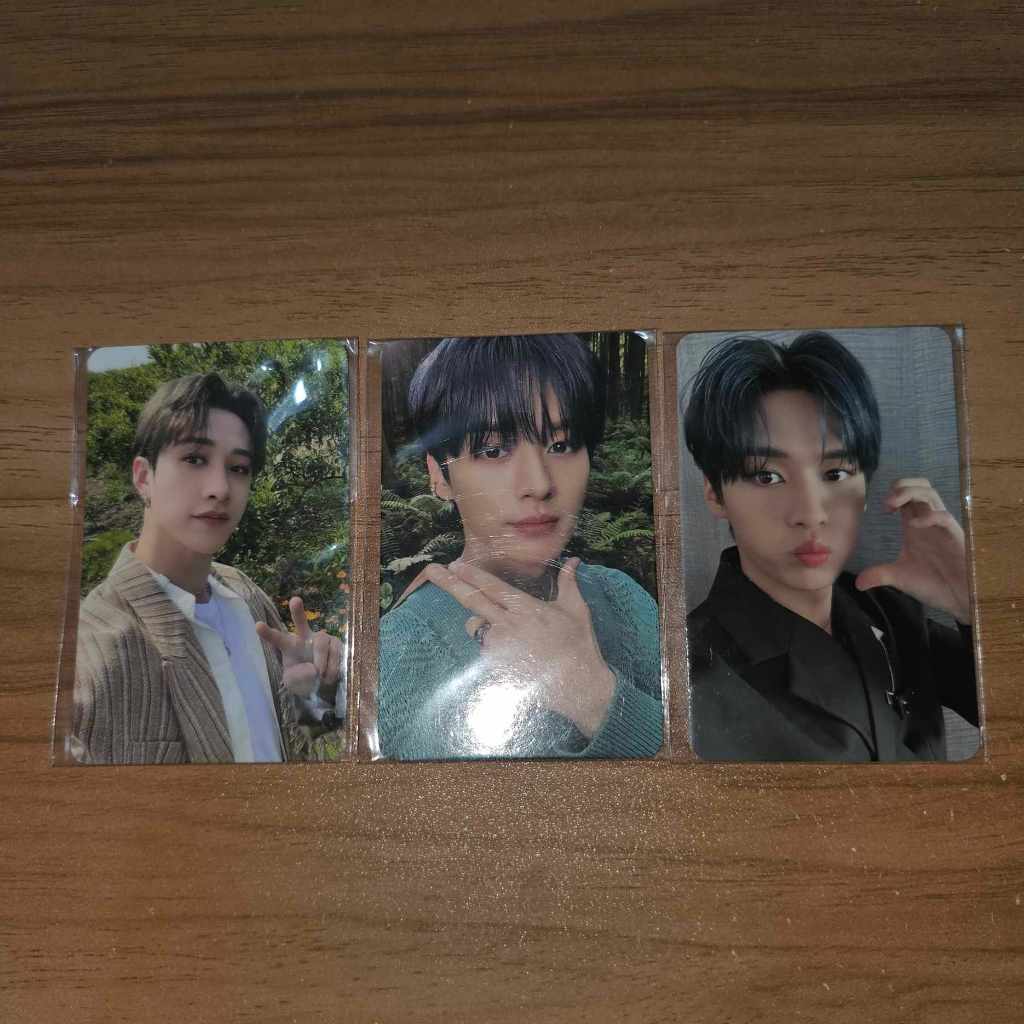Stray Kids Merch Special Gift Photocard (JYP Shop) | Shopee Philippines