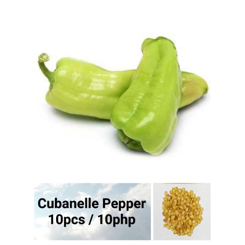 Cubanelle Pepper Seeds (10pcs) | Shopee Philippines
