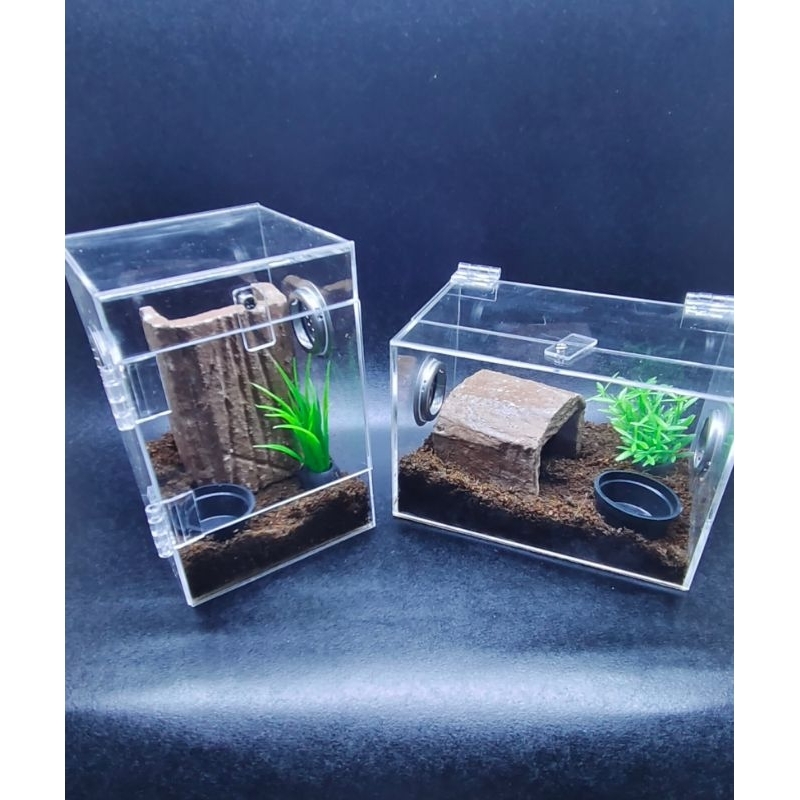 Tarantula Enclosure With Complete set-up (Juvy to Sub Adult) | Shopee ...