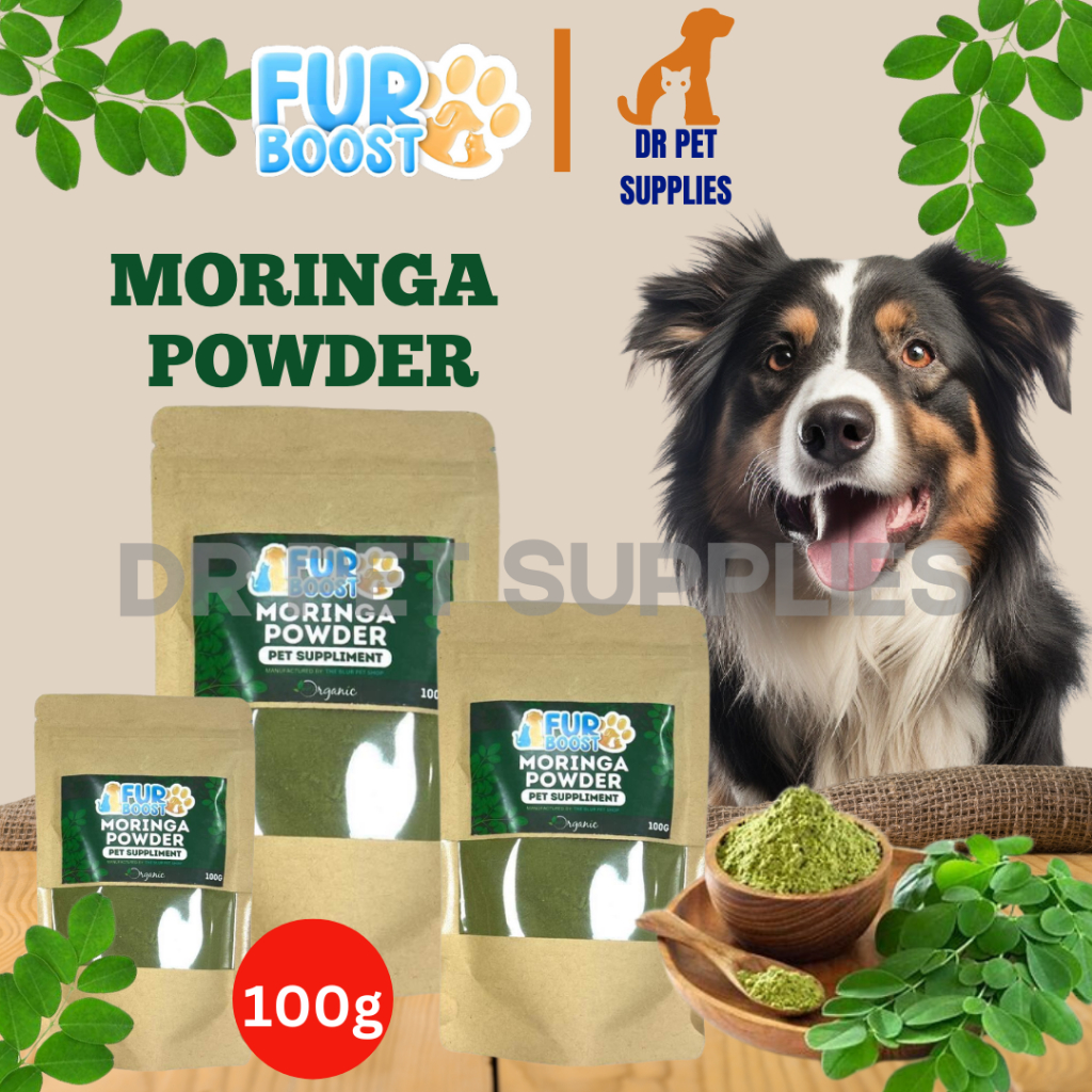 100g Malunggay Vitamins Fur Boost Furboost Moringa Powder Multivitamins ...