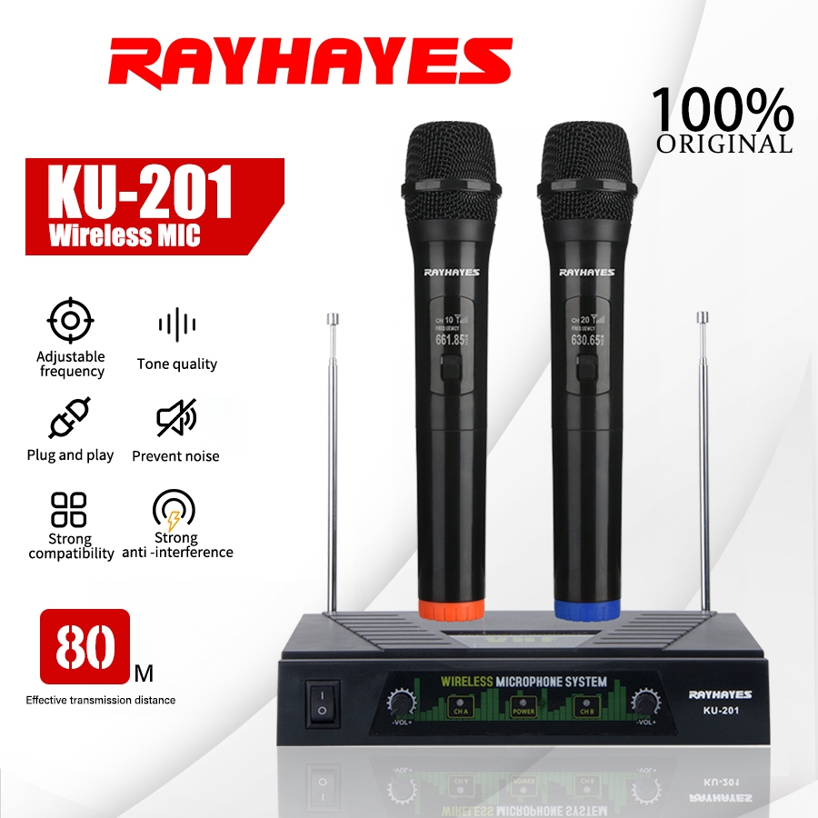 RAYHAYES wireless microphone Original genuine one for two professional ...