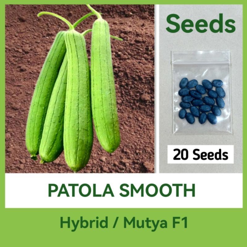 PATOLA Smooth Seeds - Hybrid Mutya F1 Variety | Shopee Philippines