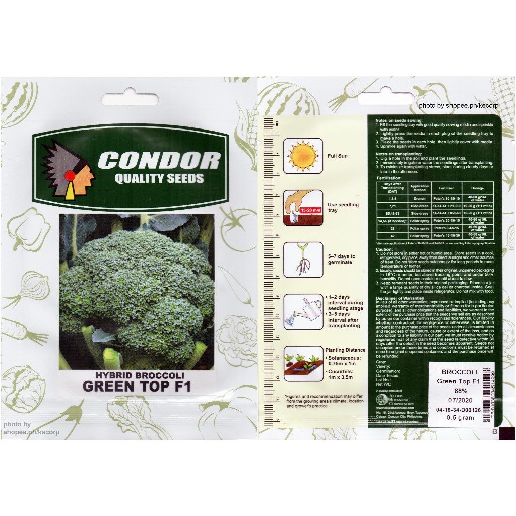 Condor Hybrid Broccoli Green Top F1 Seeds kcS11207 | Shopee Philippines