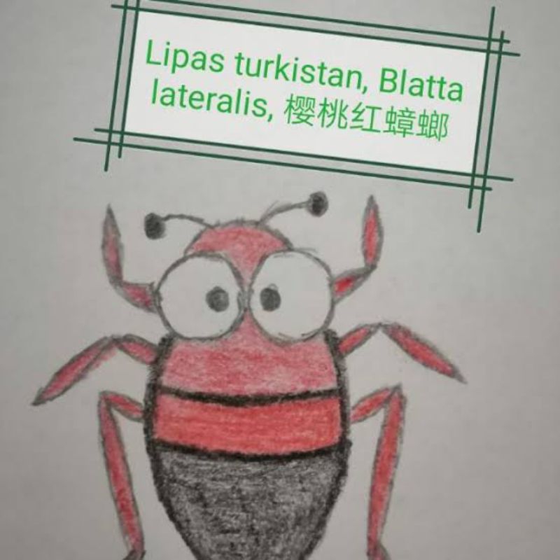 Lats Red Runners keychain | Shopee Philippines