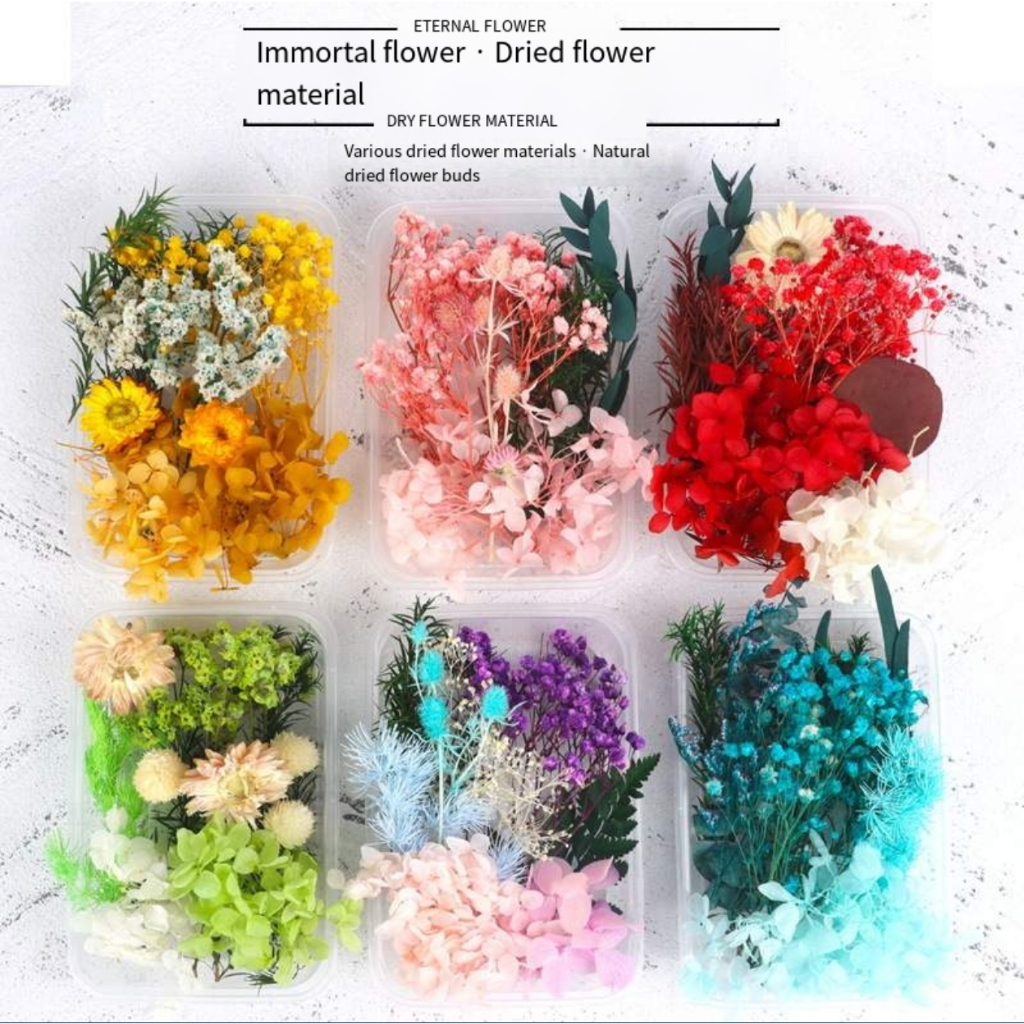 Natural preserved flowers dried flowers handmade diy material package ...