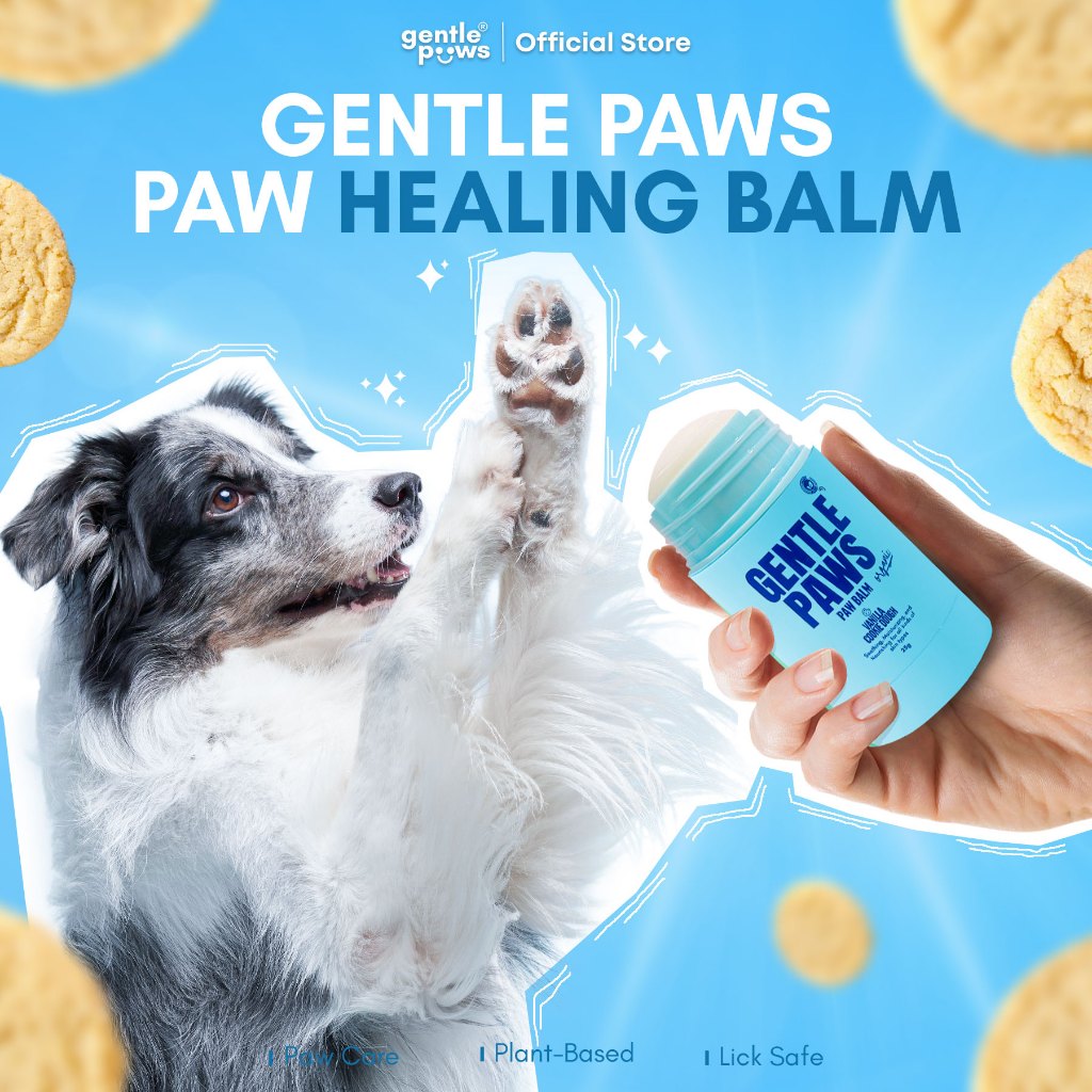 Gentle Paws Paw Cleaner Antifungal Paw Balm For Dogs & Cats Healing ...