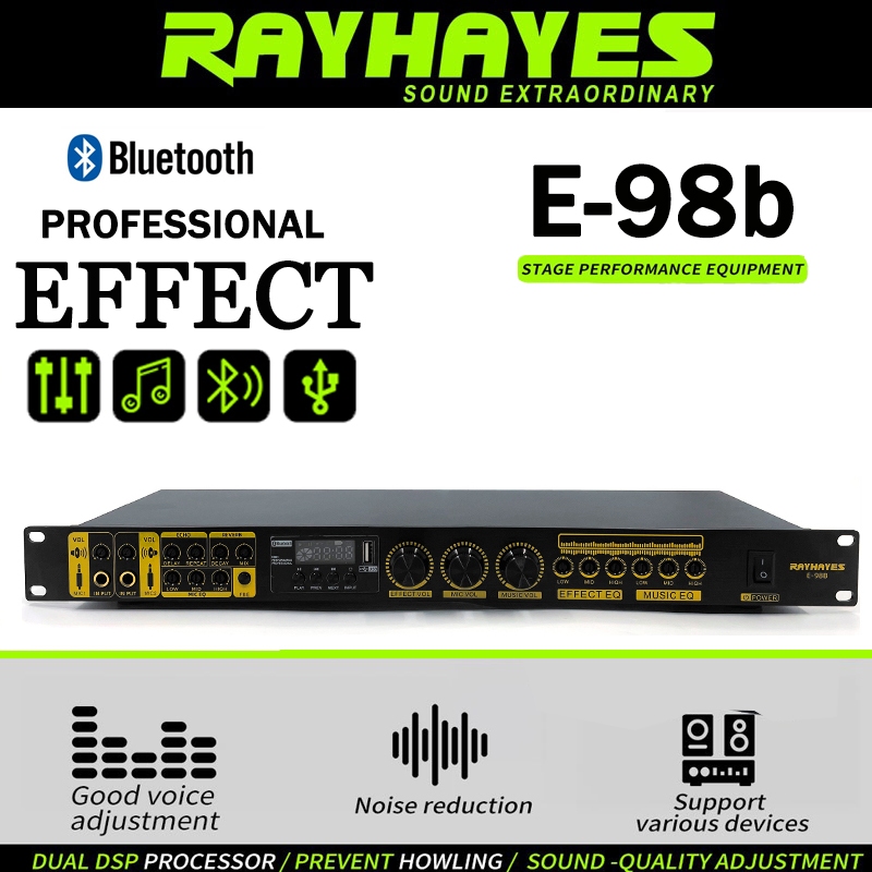 RAYHAYES DSP Audio Digital Signal Processor Gain AUX Optical Fiber ...
