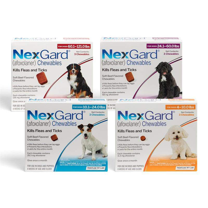 Nexgard Spectra /Nexgard Plain Chewable 1 Tablet Only with FREE Sticker ...