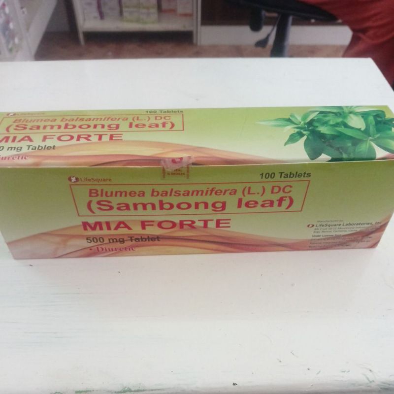 Blumea Balsamefira (sambong leaf) | Shopee Philippines