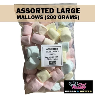 graham crackers - Best Prices and Online Promos - Mar 2025 | Shopee ...