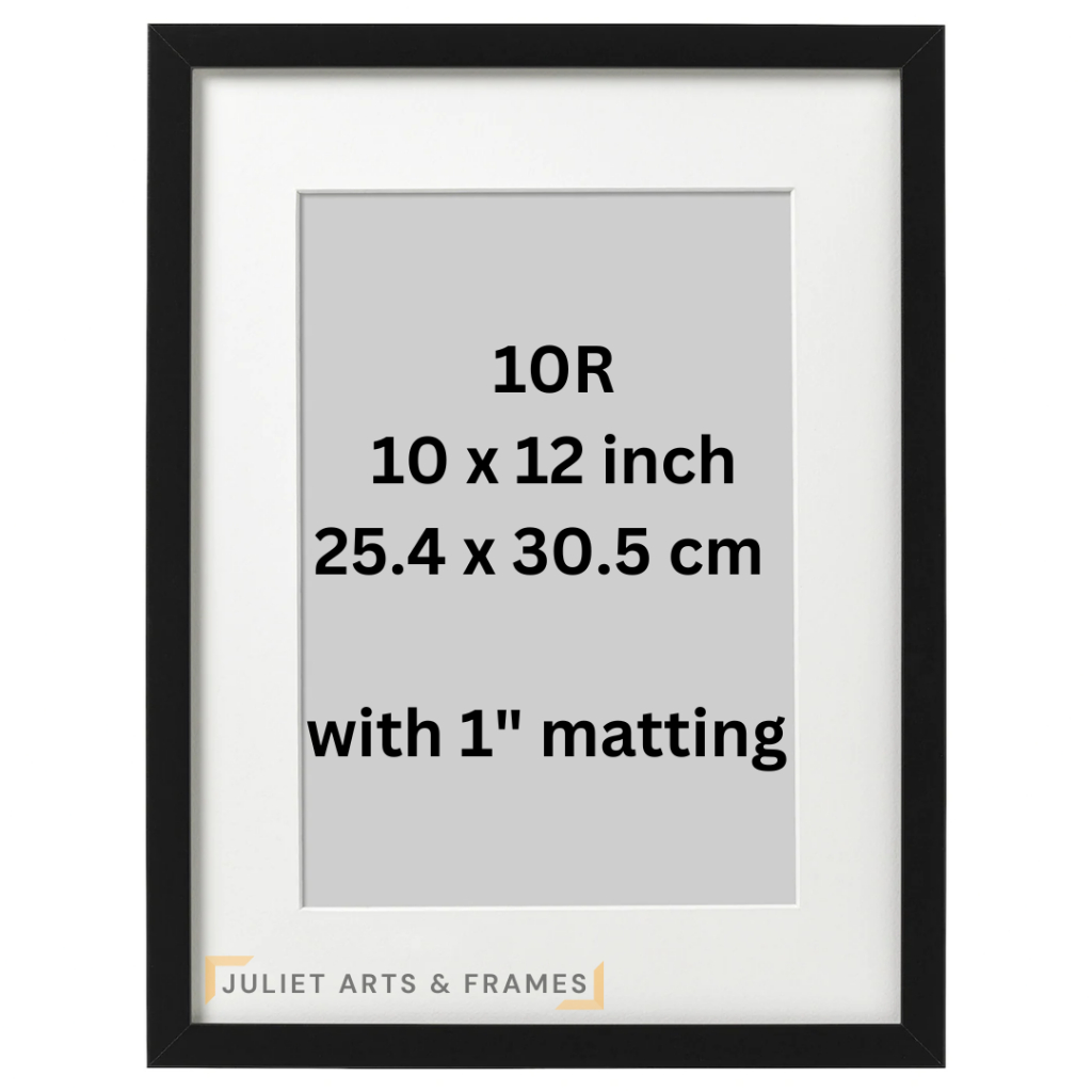 10R - 10 x 12 inch FRAME with 1 inch MATTING - WALL DECOR (HALF INCH ...