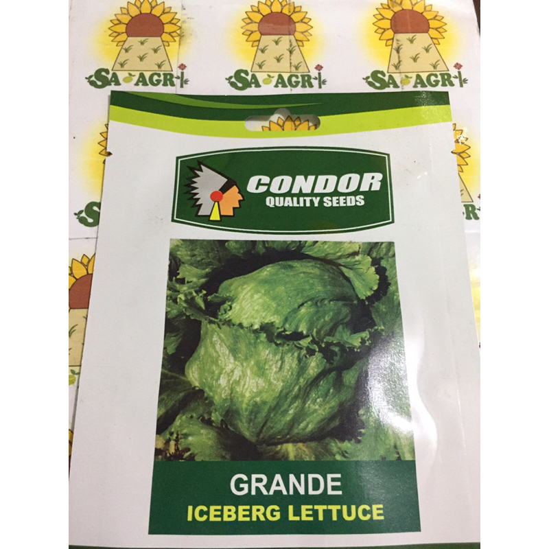 Grande Iceberg Lettuce Seeds (2g) | Shopee Philippines