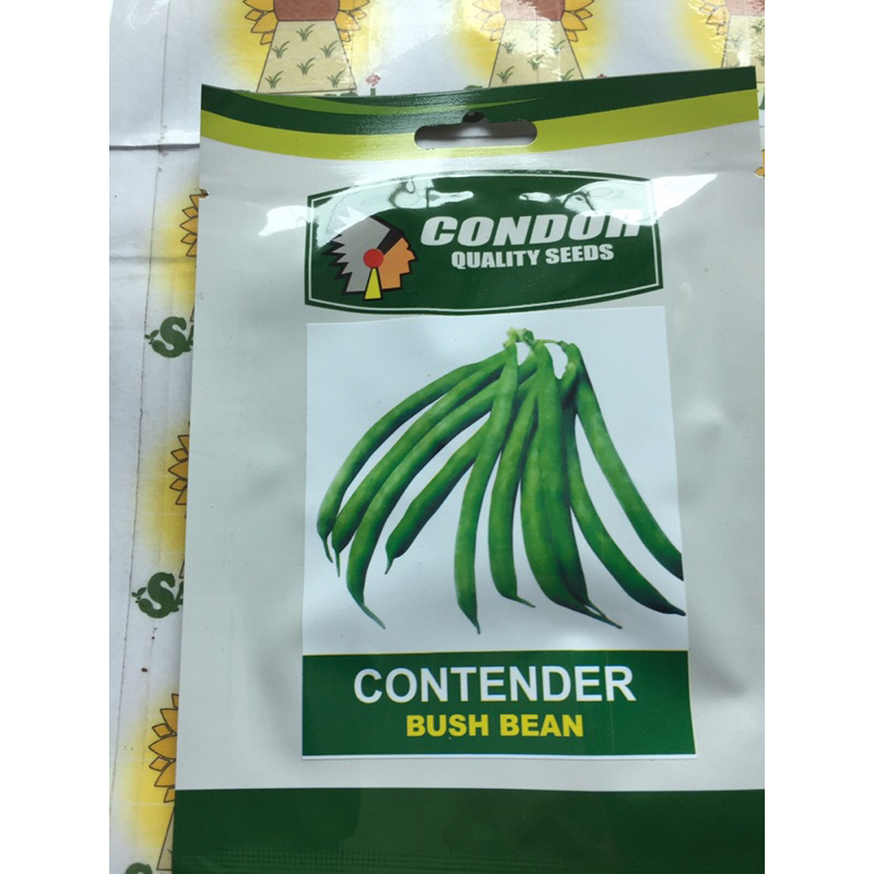 Contender Bush Beans Seeds (10g) | Shopee Philippines