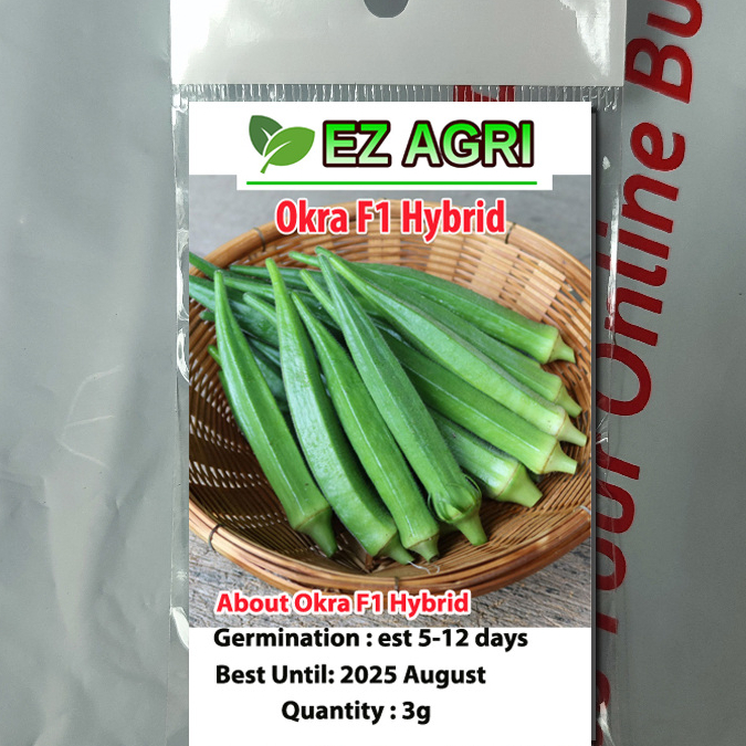 Okra Seeds Hybrid f1 best seeds and germination rate by LJ agri alfredo ...