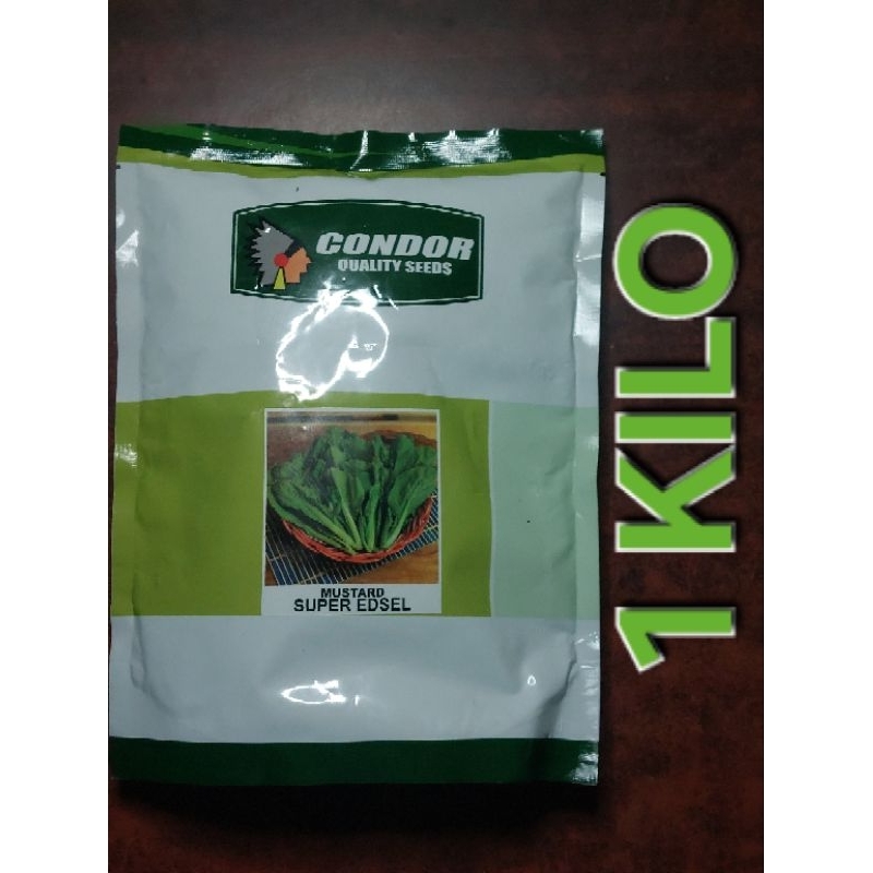 SUPER EDSEL (1 KILO) MUSTARD / MUSTASA SEEDS BY CONDOR | Shopee Philippines