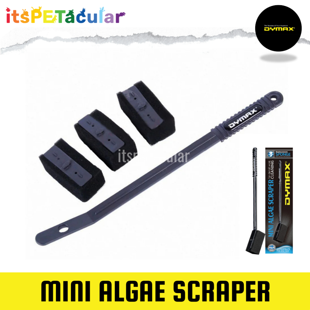 DYMAX Mini Algae Scraper - Cleaning Tools for Aquarium | Shopee Philippines