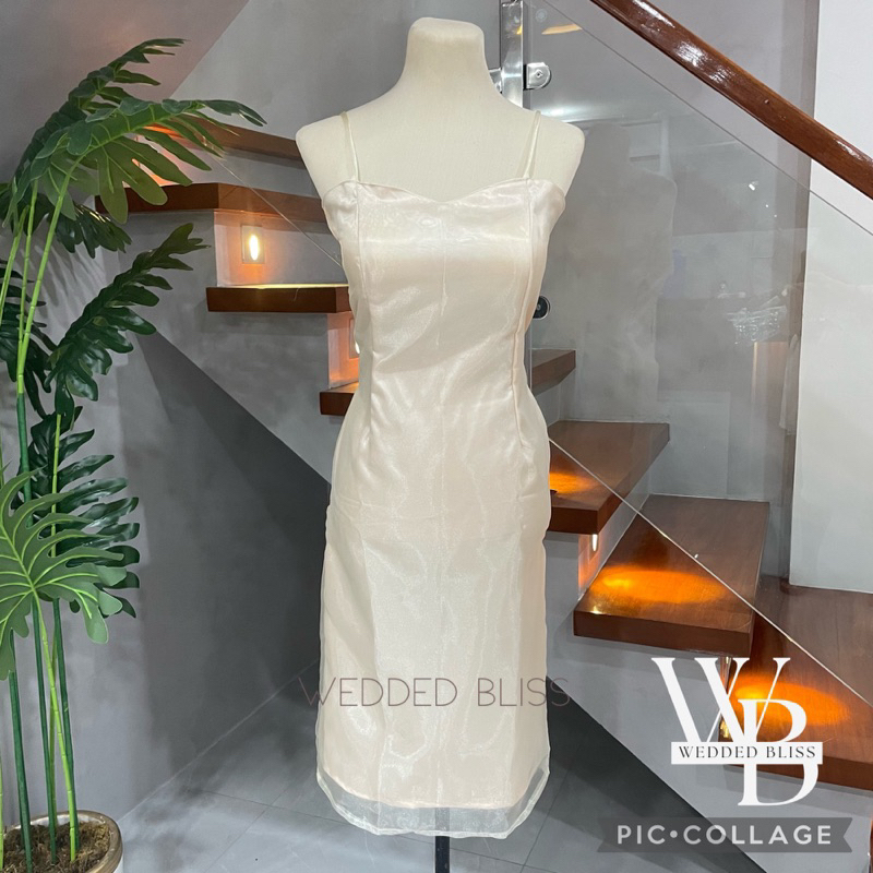 INNER DRESS ONLY (ORGANZA) | Shopee Philippines