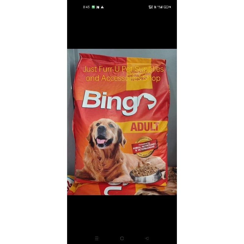Bingo Adult for Your Dogs 20kg | Shopee Philippines
