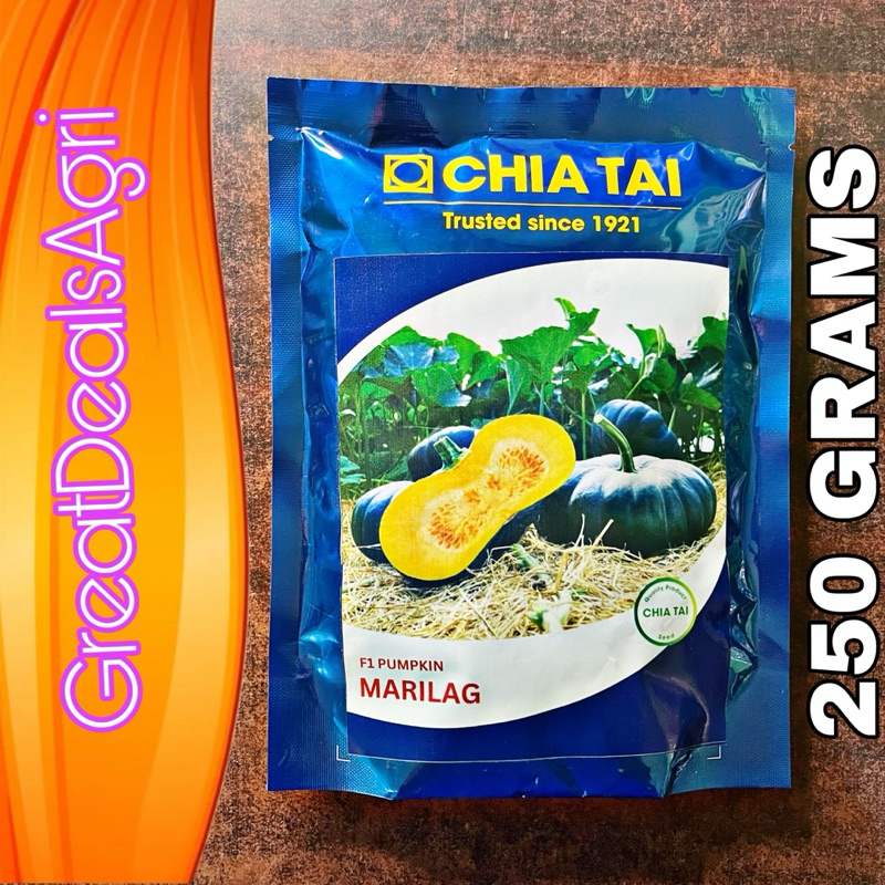 MARILAG F1 HYBRID PUMPKIN SEEDS (250 GRAMS) CHIA TAI | Shopee Philippines