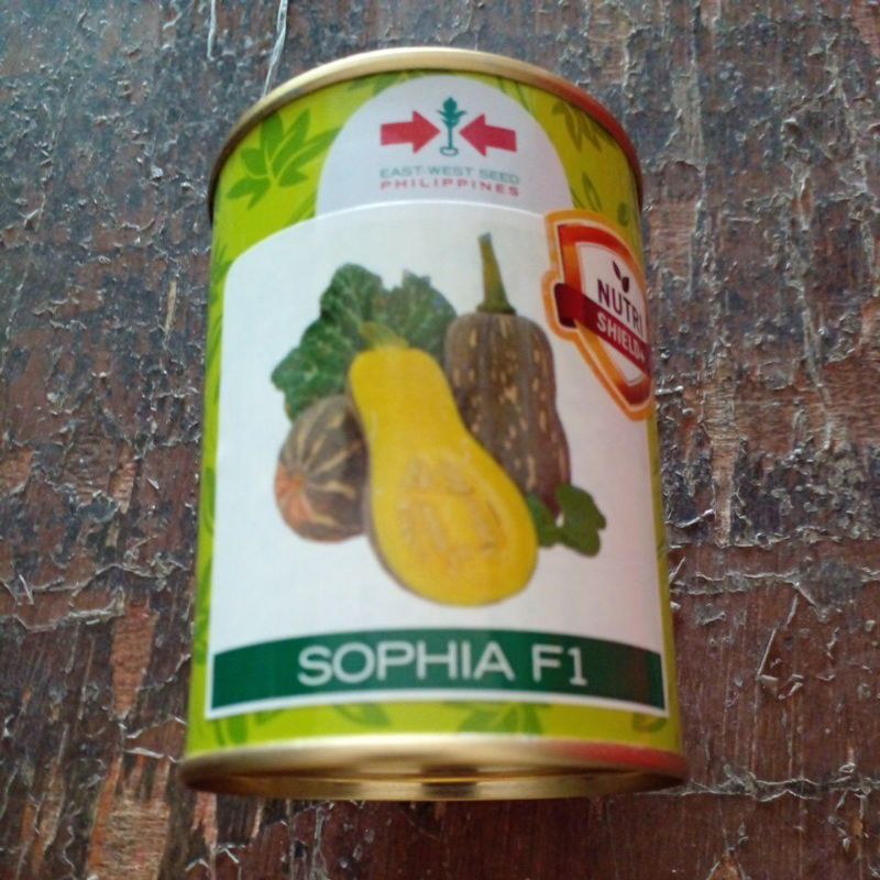SOPHIA F1 425SEEDS BUTTERNUT KALABASA | Shopee Philippines