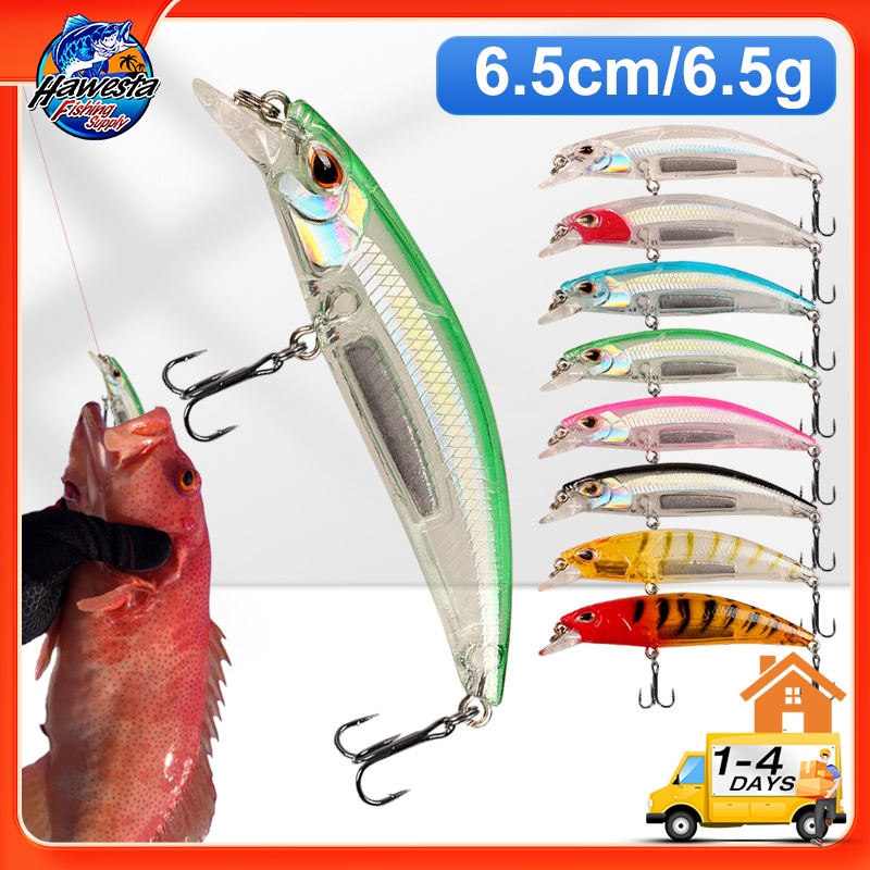 Fishing Gear 6.5cm/6.5g Sinking Minnow Lure Long Throw Fishing Bait Fishing Tracle | Shopee ...