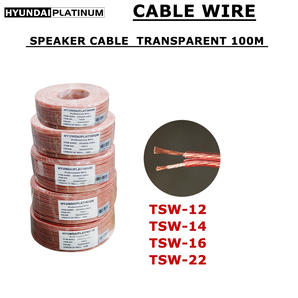 HYUNDAI PLATINUM SPEAKER CABLE – The Ultimate Connection for Pristine Sound TSW | Shopee Philippines