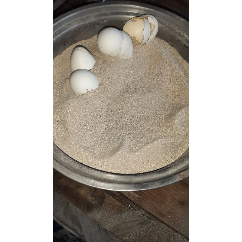 POWDERED EGG SHELLS source of calcium carbonate || 100% PURE ORGANIC ...