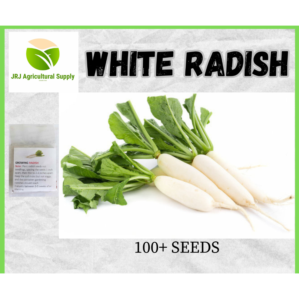 Radish/Labanos ( White ) - 100pcs Seeds (1 pack) | Shopee Philippines