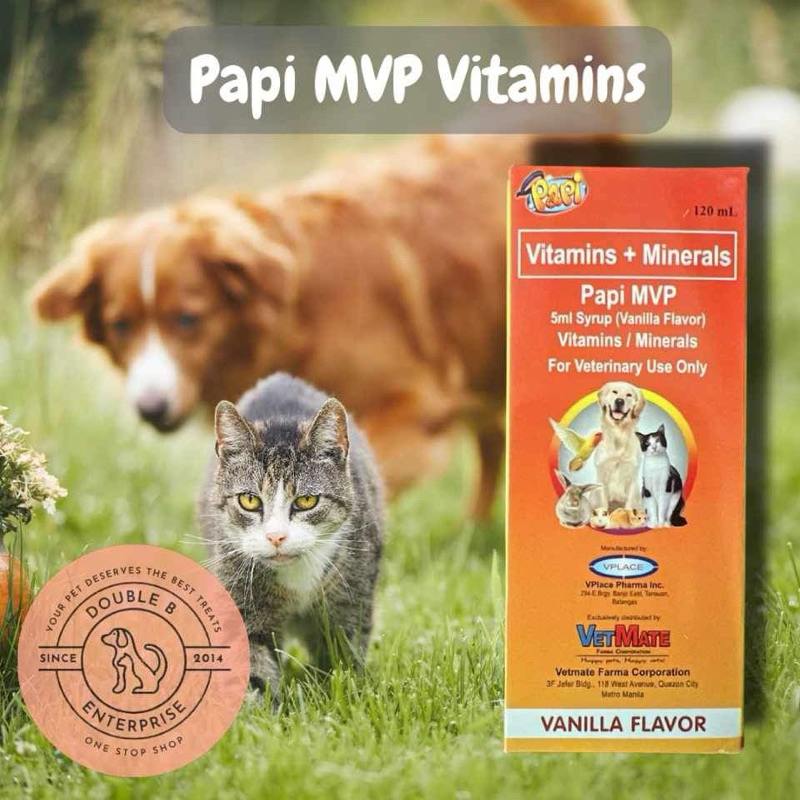 Papi MVP (Vitamins + Minerals) | Shopee Philippines