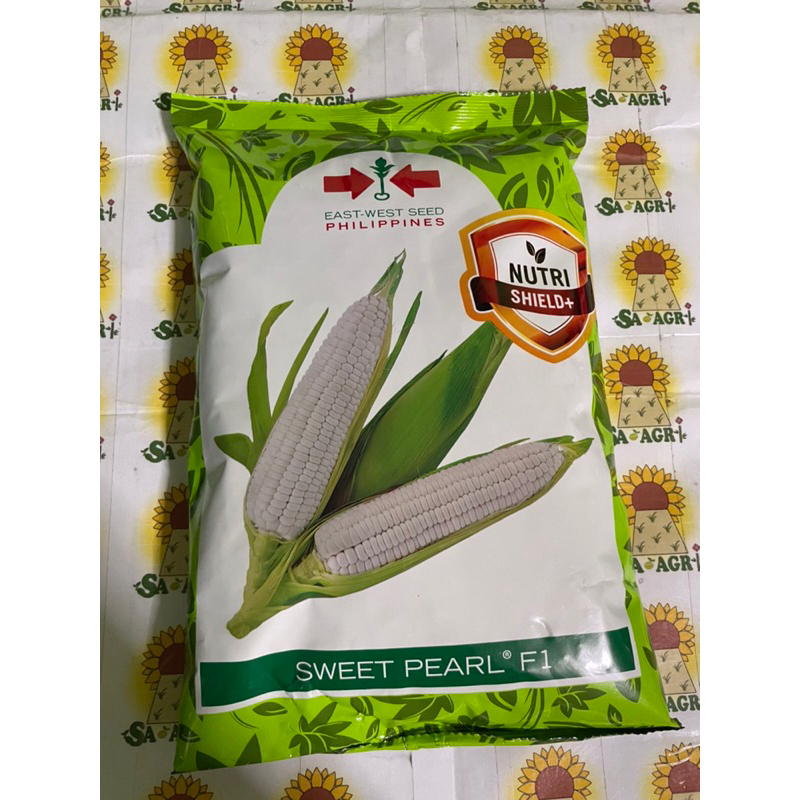 Sweet Pearl F1 Hybrid Japanese White Corn Seeds (kilo) | Shopee Philippines
