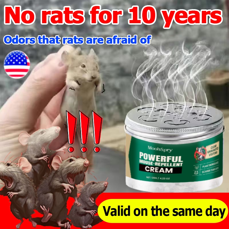 No rats within 10,000 meters Rat repellant rat killer Repellent Cream ...