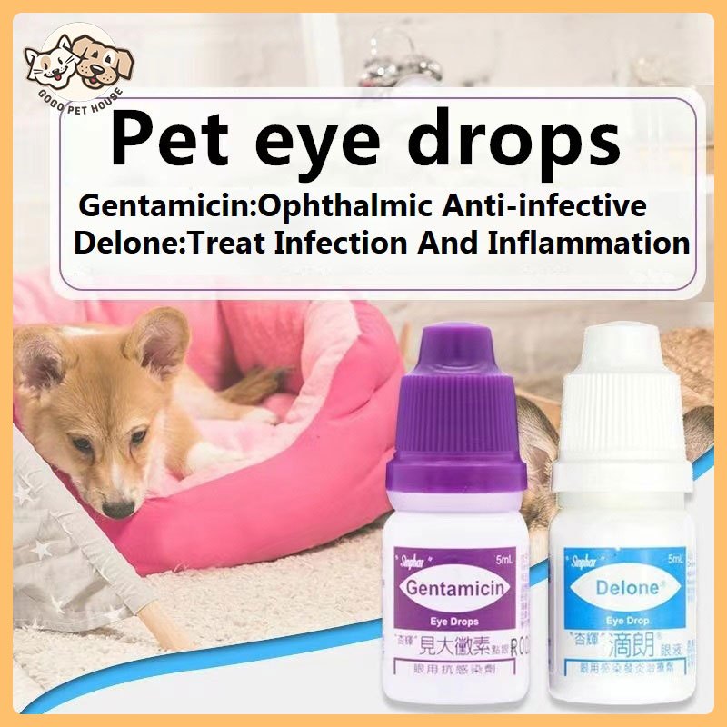 Gentamicin Pet Eye Drops Cat And Dog Eye Drops For Dogs Infection ...