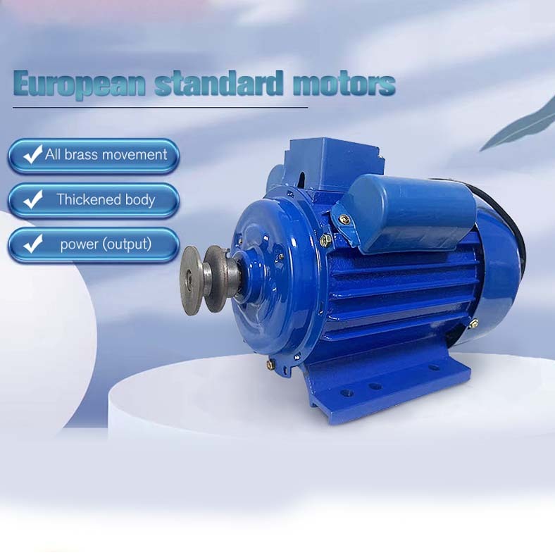 Imported motor 220V-2800W 100% copper single-phase induction motor 3HP ...