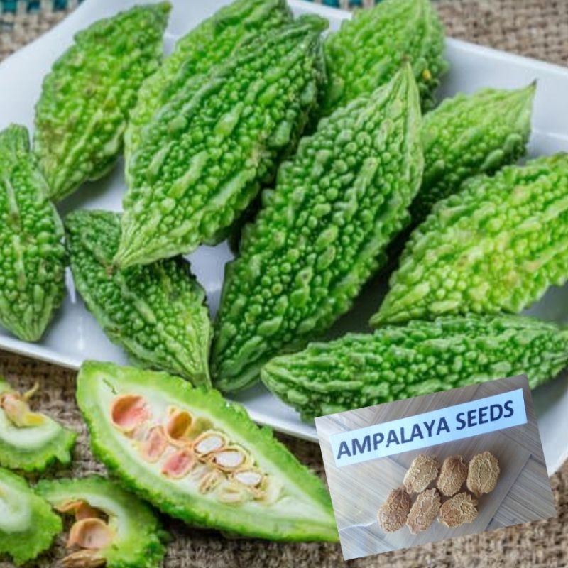 Ampalaya F1 Seeds (8Pcs/Pack) | Shopee Philippines