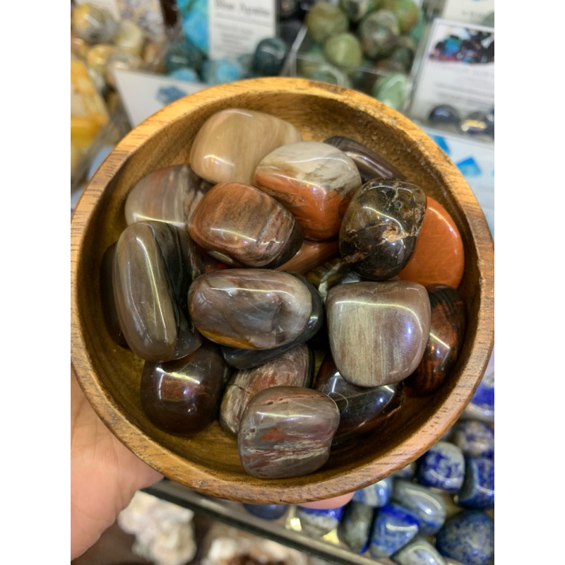 Petrified Wood Tumbled | Shopee Philippines