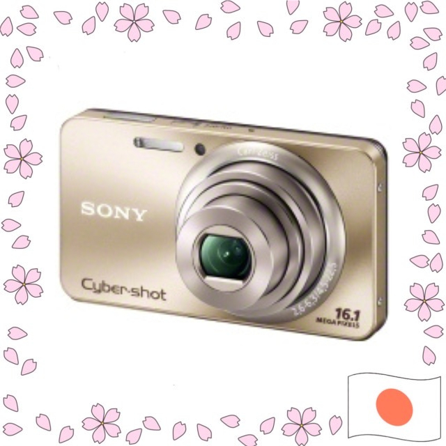 SONY Digital Camera Cybershot W570 16.1 million pixels CCD optical x5 ...