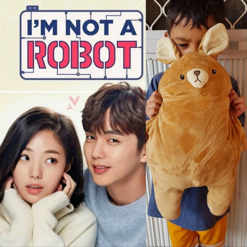 Miniso brown bunny from korean series "im not a robot"mallow plushie ...