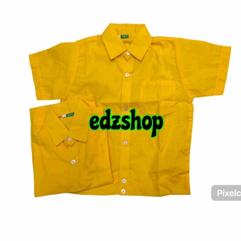 polo yellow gold school uniform | Shopee Philippines