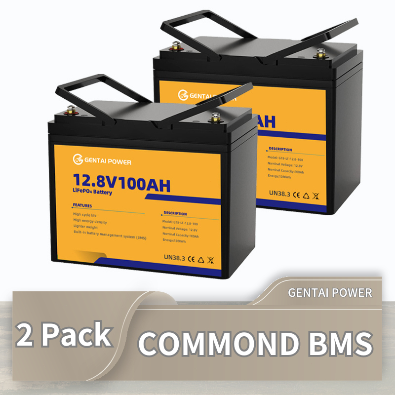 【2 Pack】GENTAI POWER 12V 100AH Mini Size Group LiFePO4 Lithium Battery ...