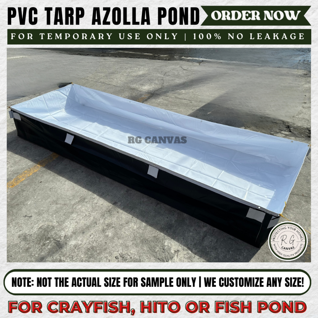 AZOLLA TRAPOND FISH POND KOI ANC AZOLLA BED TWO-TONED COLOR LONA TRAPAL ...